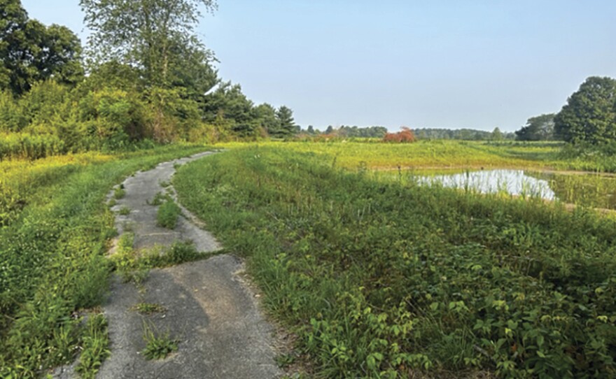 Tree Planting at Five River MetroPark in Ohio | Davey Tree