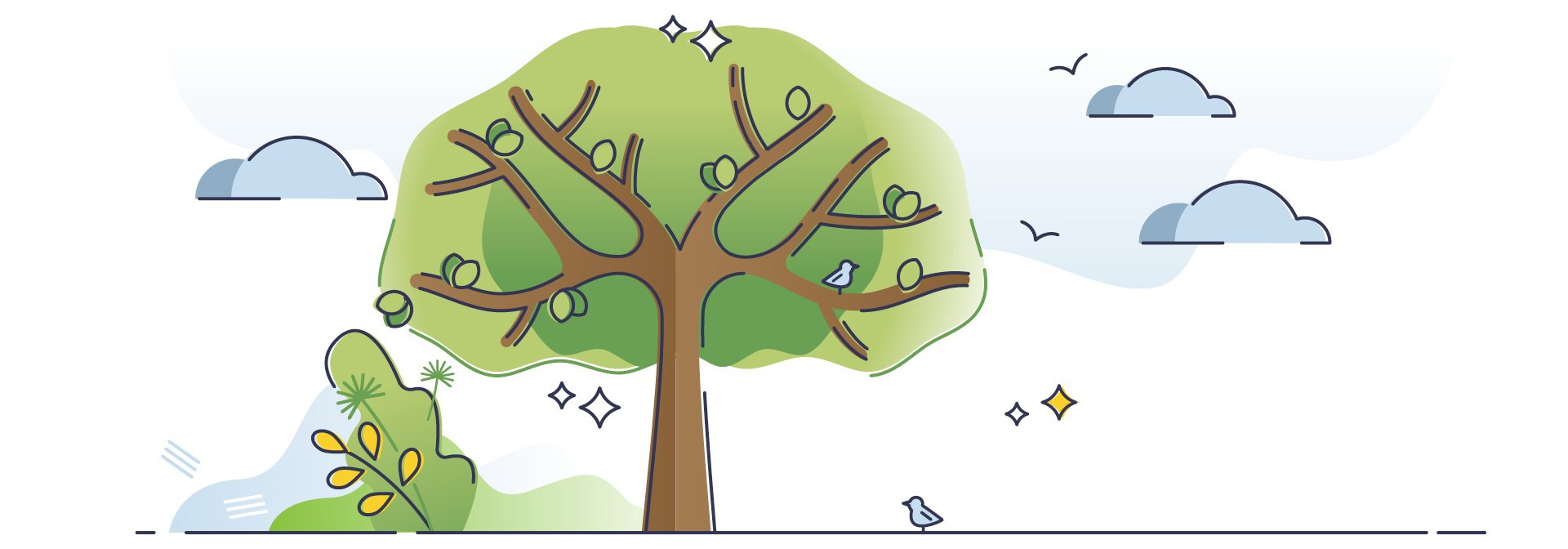 Schedule Dormant Pruning for Winter | Davey Tree