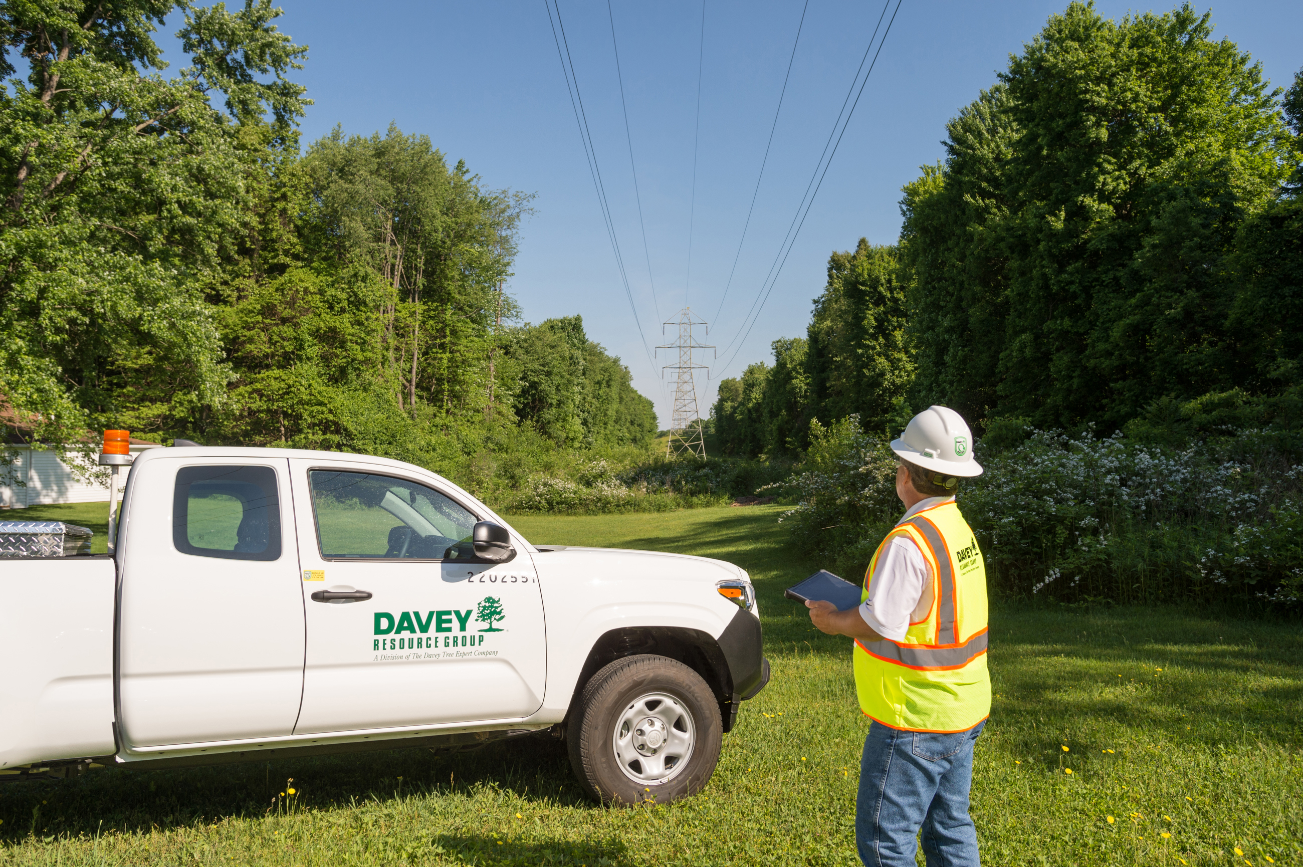 Vegetation Management Consulting | Utility Tree Services | Davey Tree