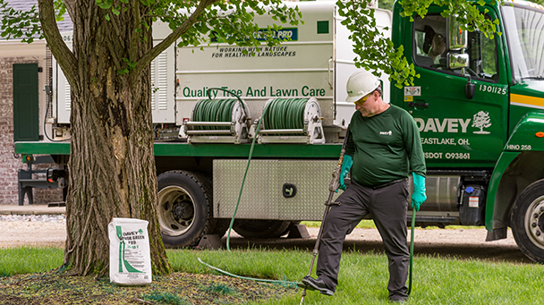 Protecting Your Green Investments With a Plant Health Care Program ...