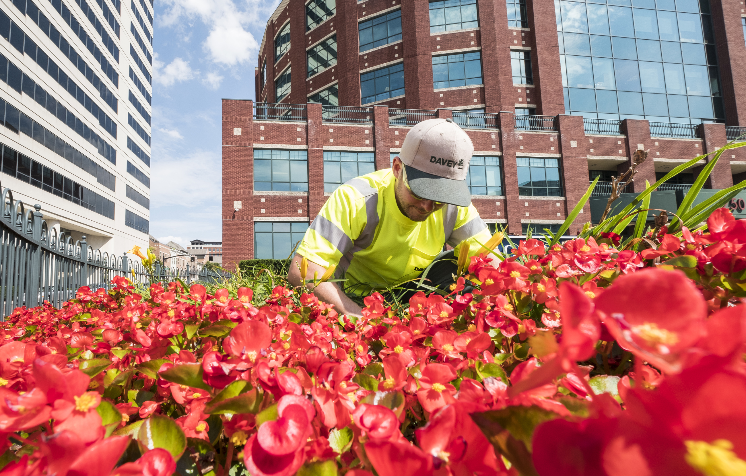 Commercial Landscape Enhancements & Installs | Davey Tree