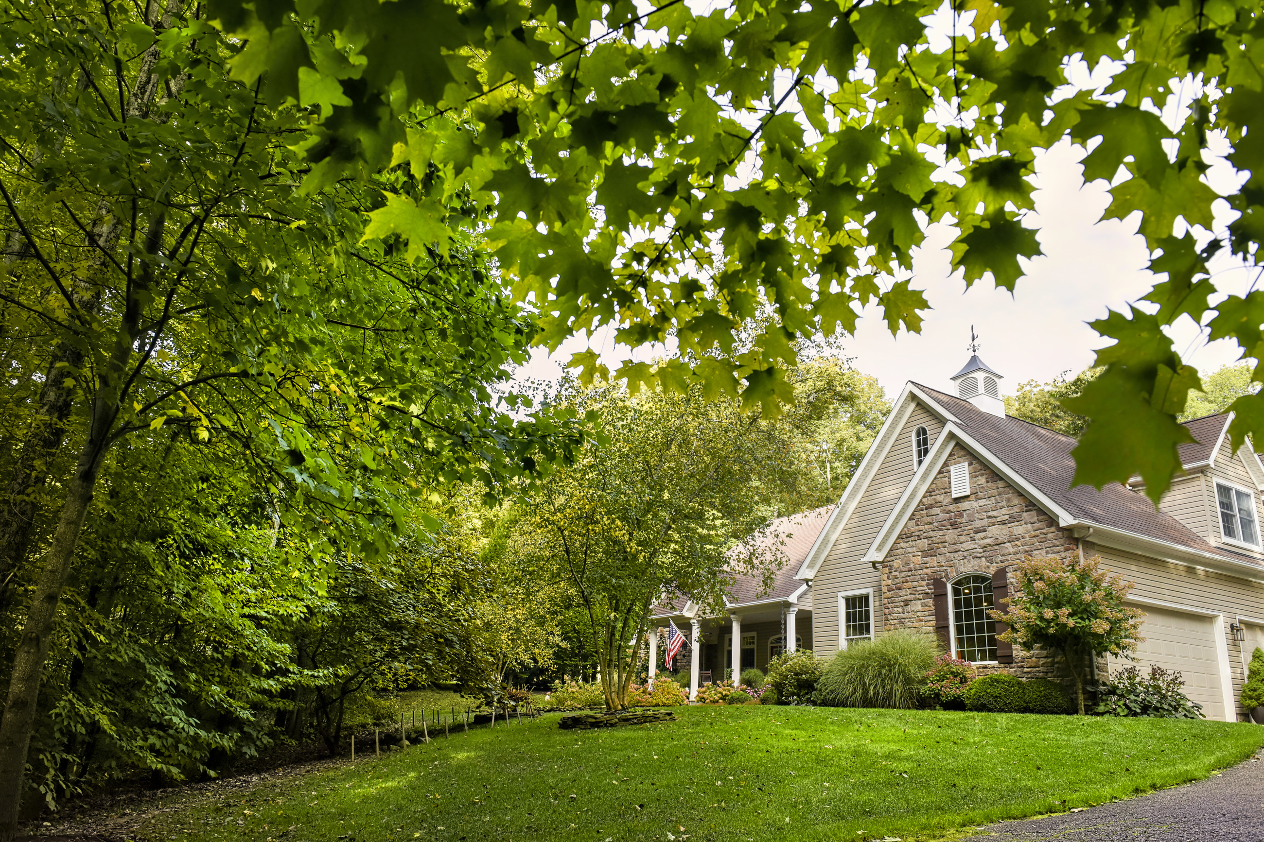 Davey Tree Services Near South Minneapolis, Minnesota | Davey Tree