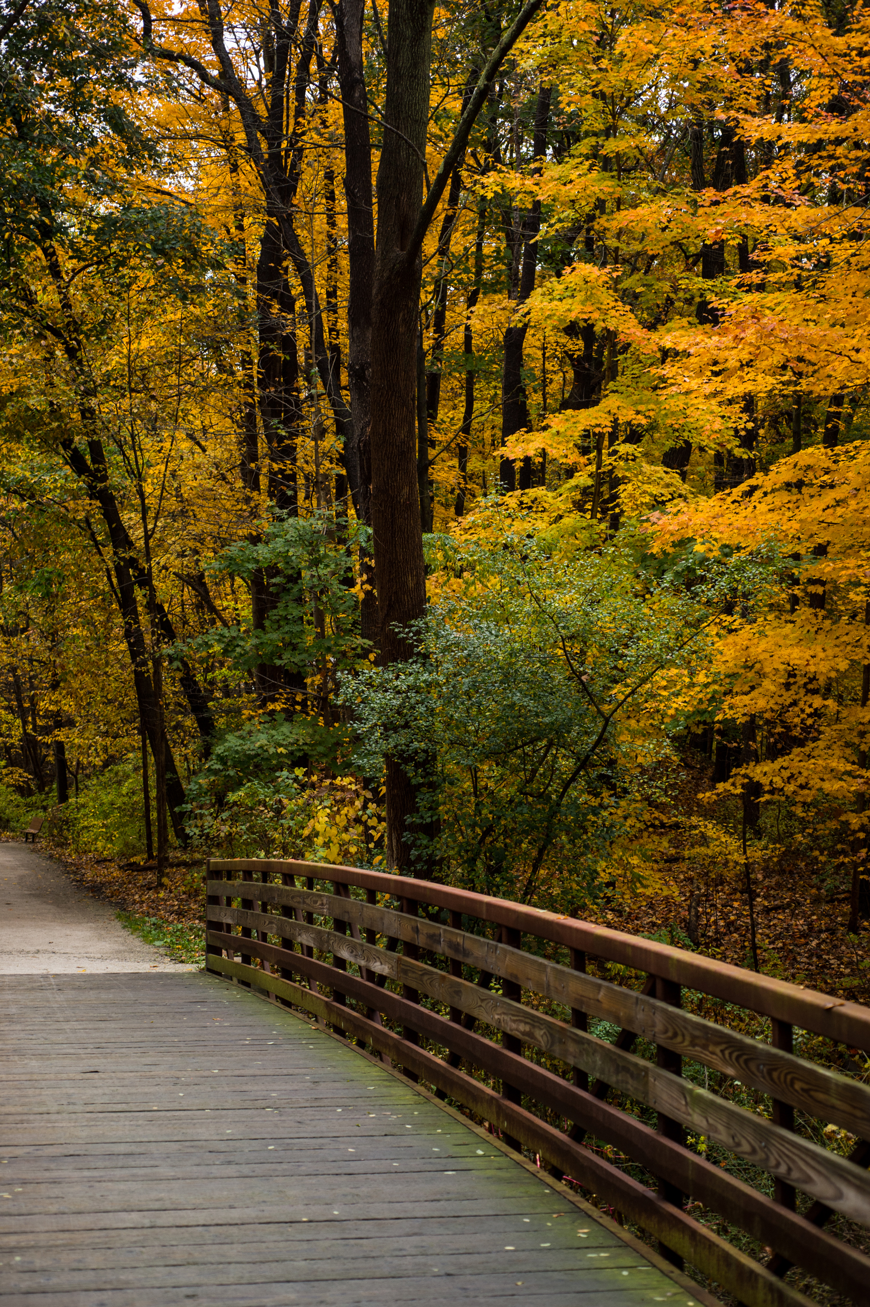 Parks & Trails | Davey Tree