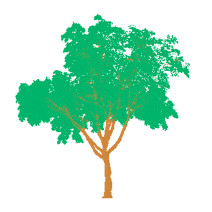 Create a Digital Urban Forest with New Technology | Davey Tree