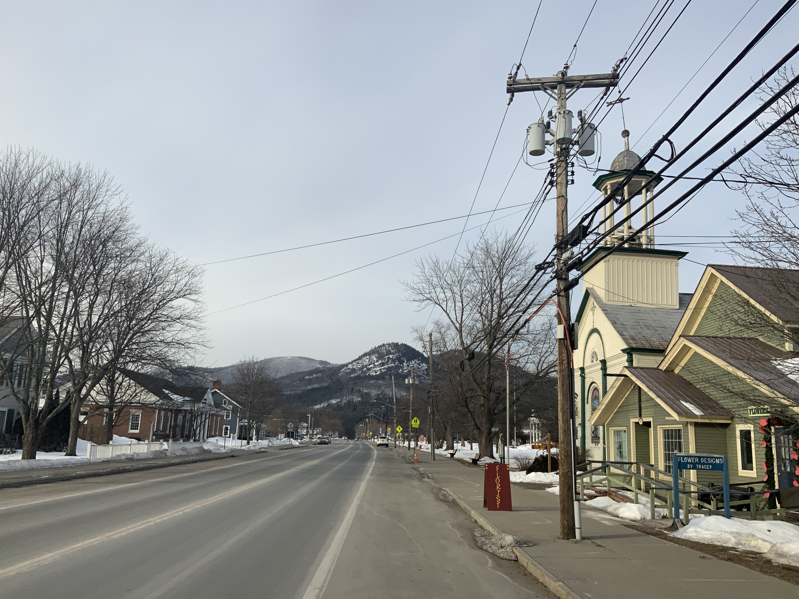 Municipal Utilities | Davey Tree