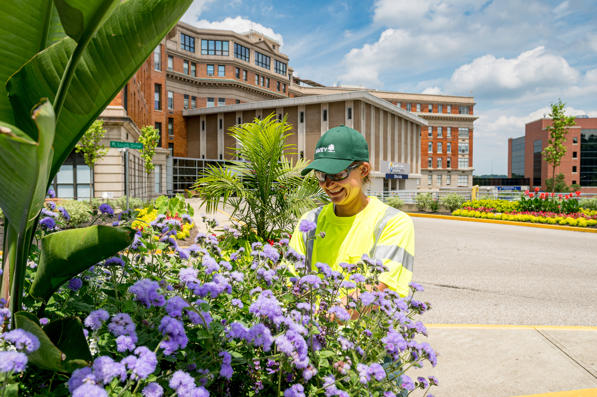 Healthcare Landscaping Services | Davey Tree