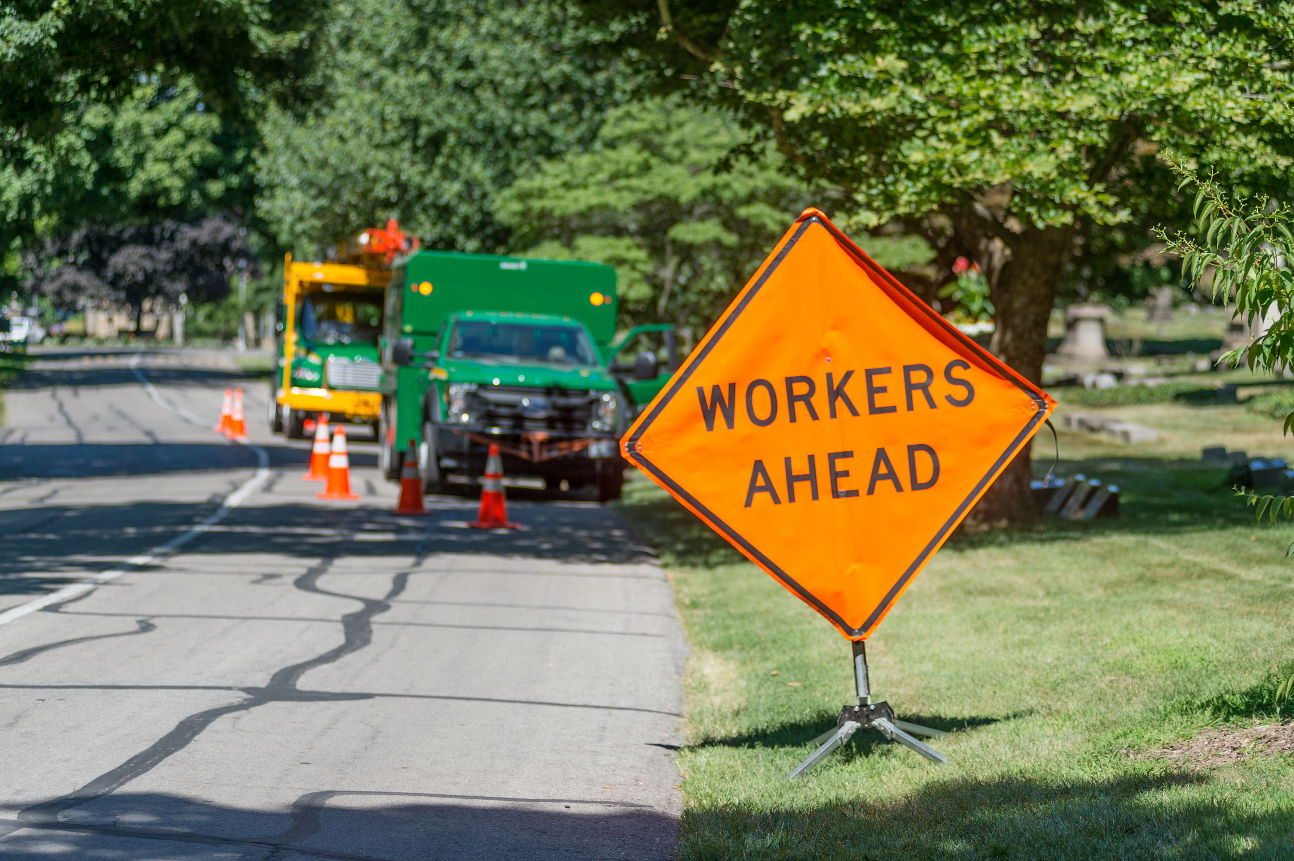 Utility Line Clearance | Davey Tree Utility Services