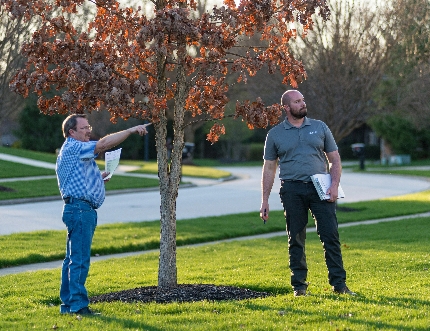 Tree Health Inspection Services & Treatment | Davey Tree