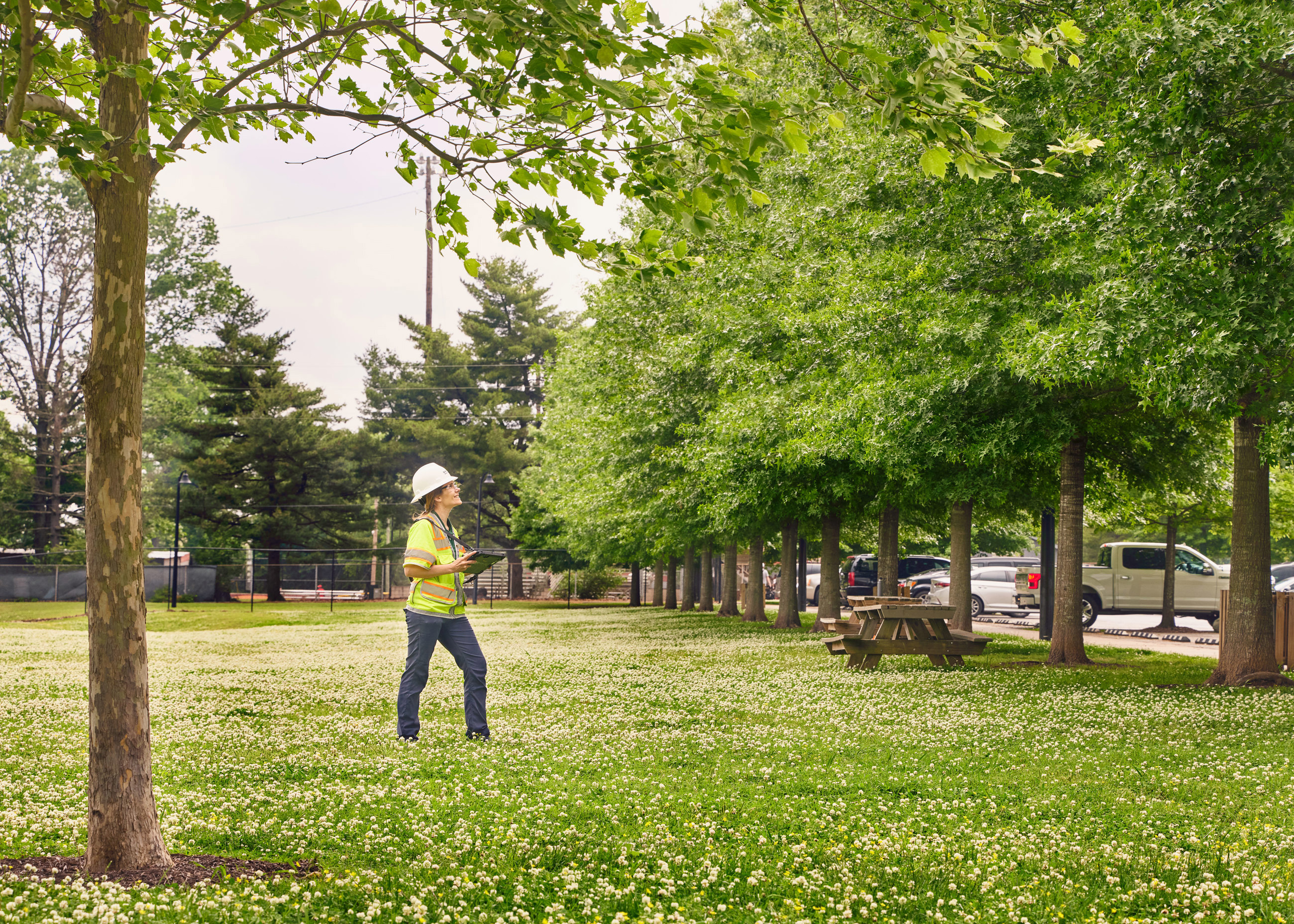 Commercial Landscape Management Services | Davey Tree