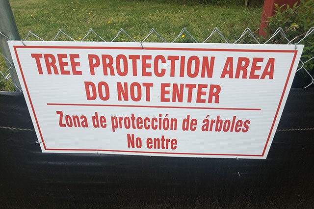 Tree Preservation & Protection | Davey Resource Group | Davey Tree