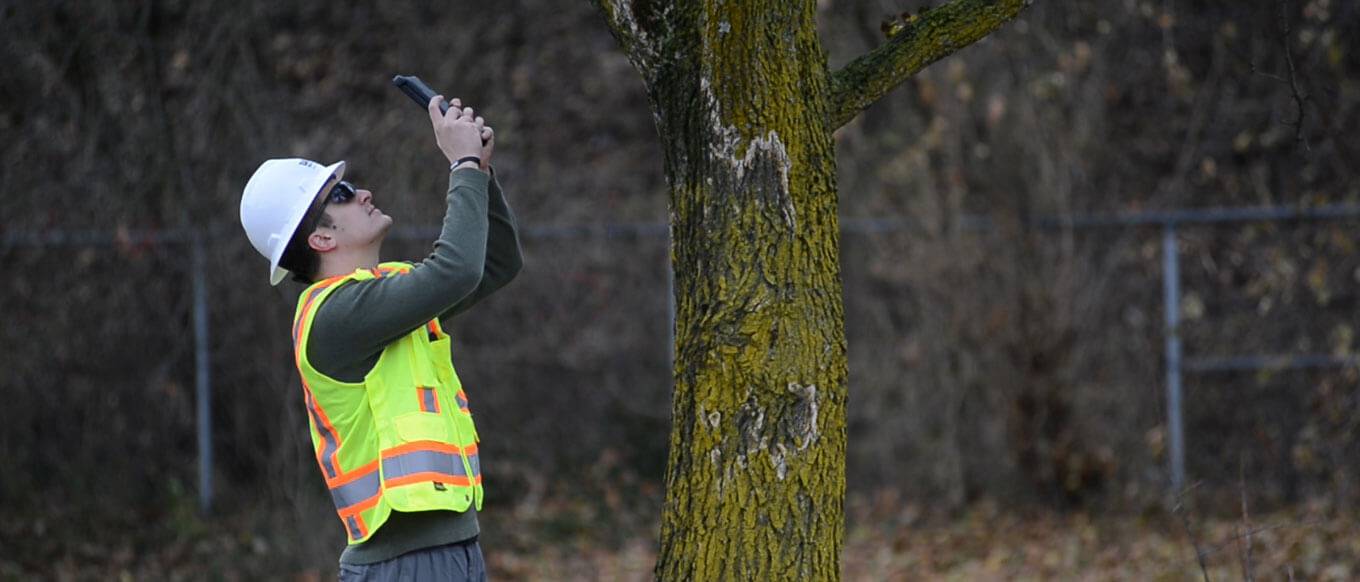 Tree Inventory Software for Urban Forestry | TreeKeeper® | Davey Tree