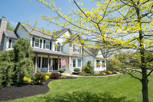 Residential Tree Planting & Transplanting Services | Davey Tree