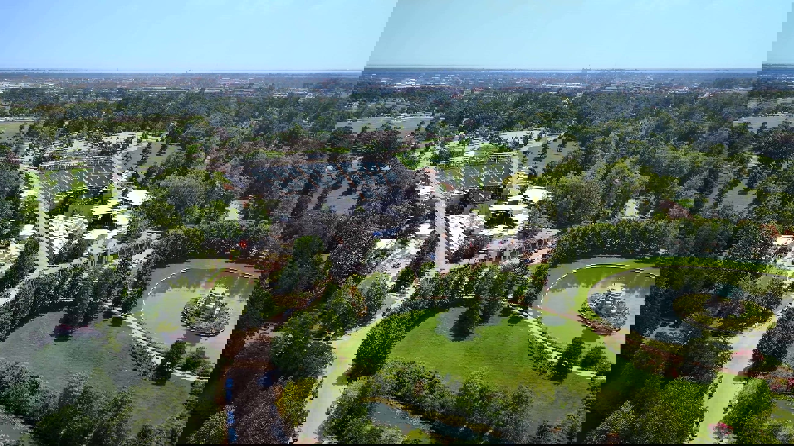 Professional Tree Services by Davey Certified Arborists | Davey Tree