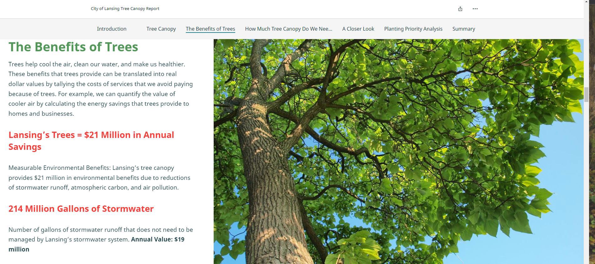 Customized Mapping Technology | Davey Tree