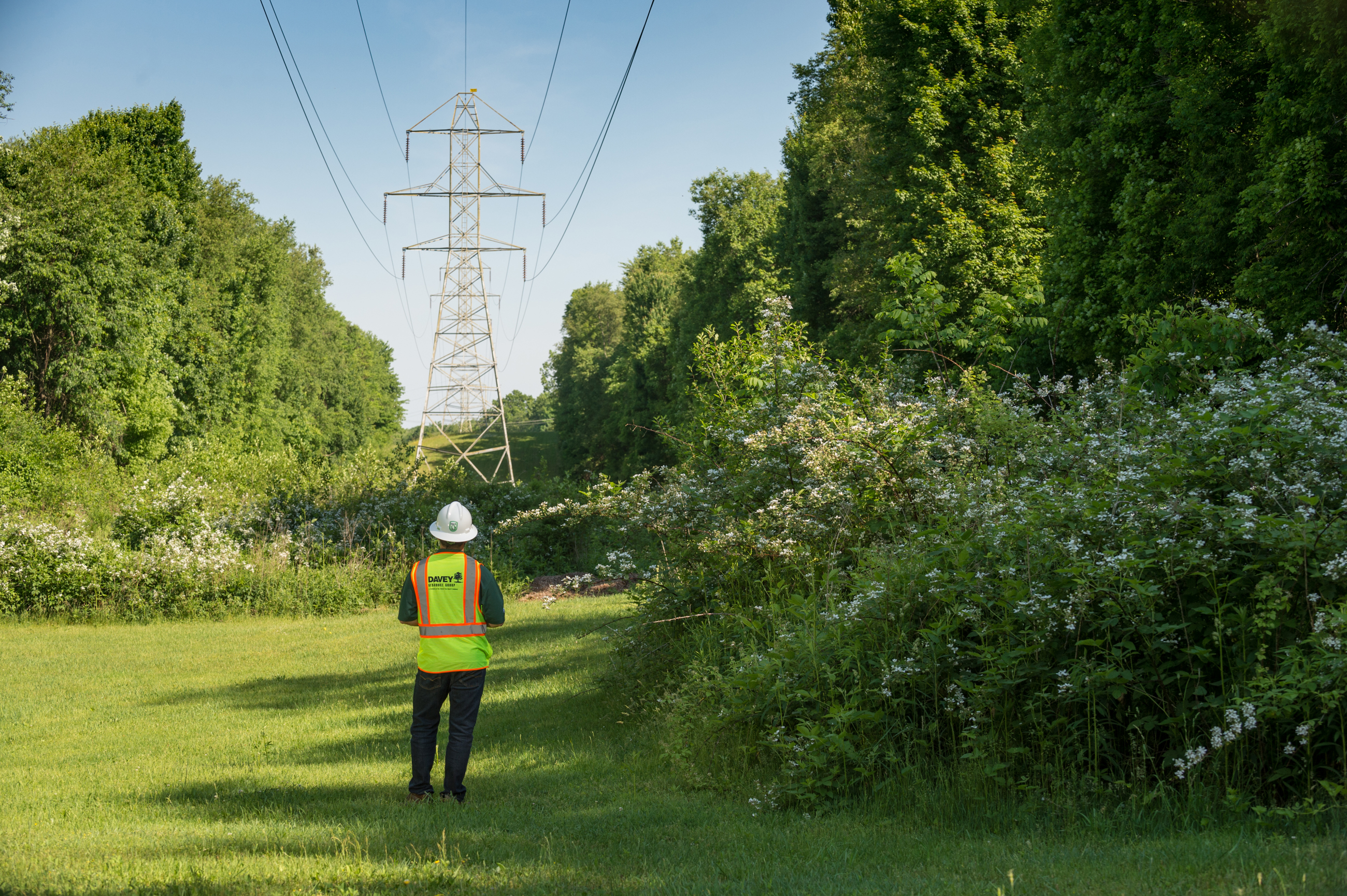 Asset & Vegetation Management & Data Collection Software | Davey Tree