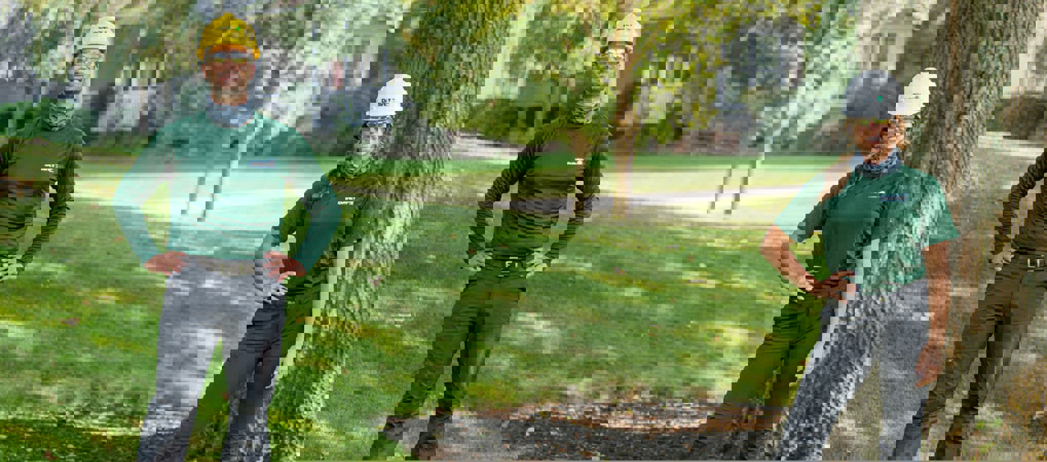 How To Properly Mulch Around A Tree Davey Tree