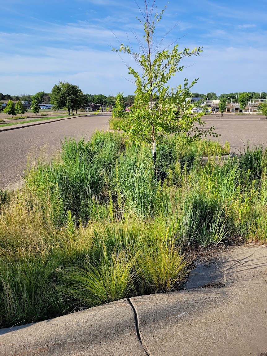 Vegetation Management Consulting | Utility Tree Services | Davey Tree