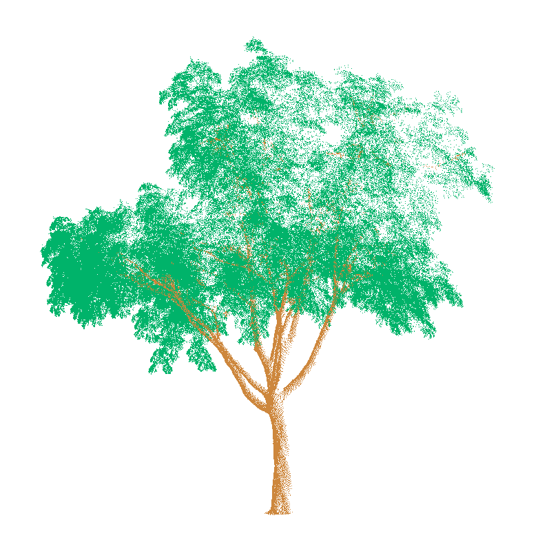 Smart Urban Forestry With Smart Tree Inventory | Davey Tree