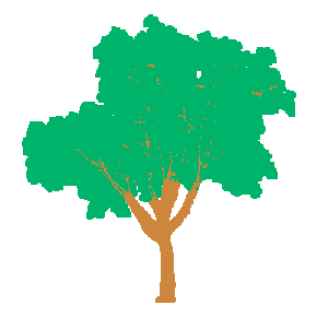 Smart Urban Forestry With Smart Tree Inventory | Davey Tree