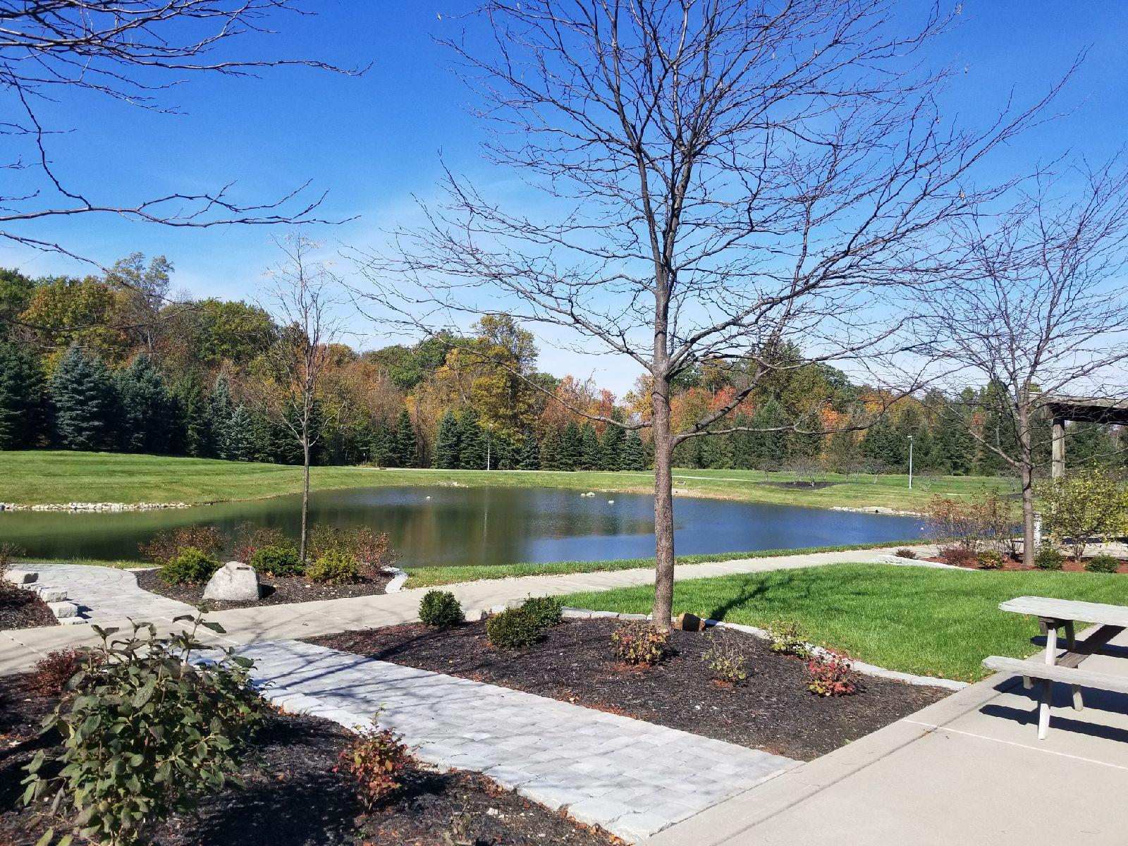 Professional Tree Services by Davey Certified Arborists | Davey Tree