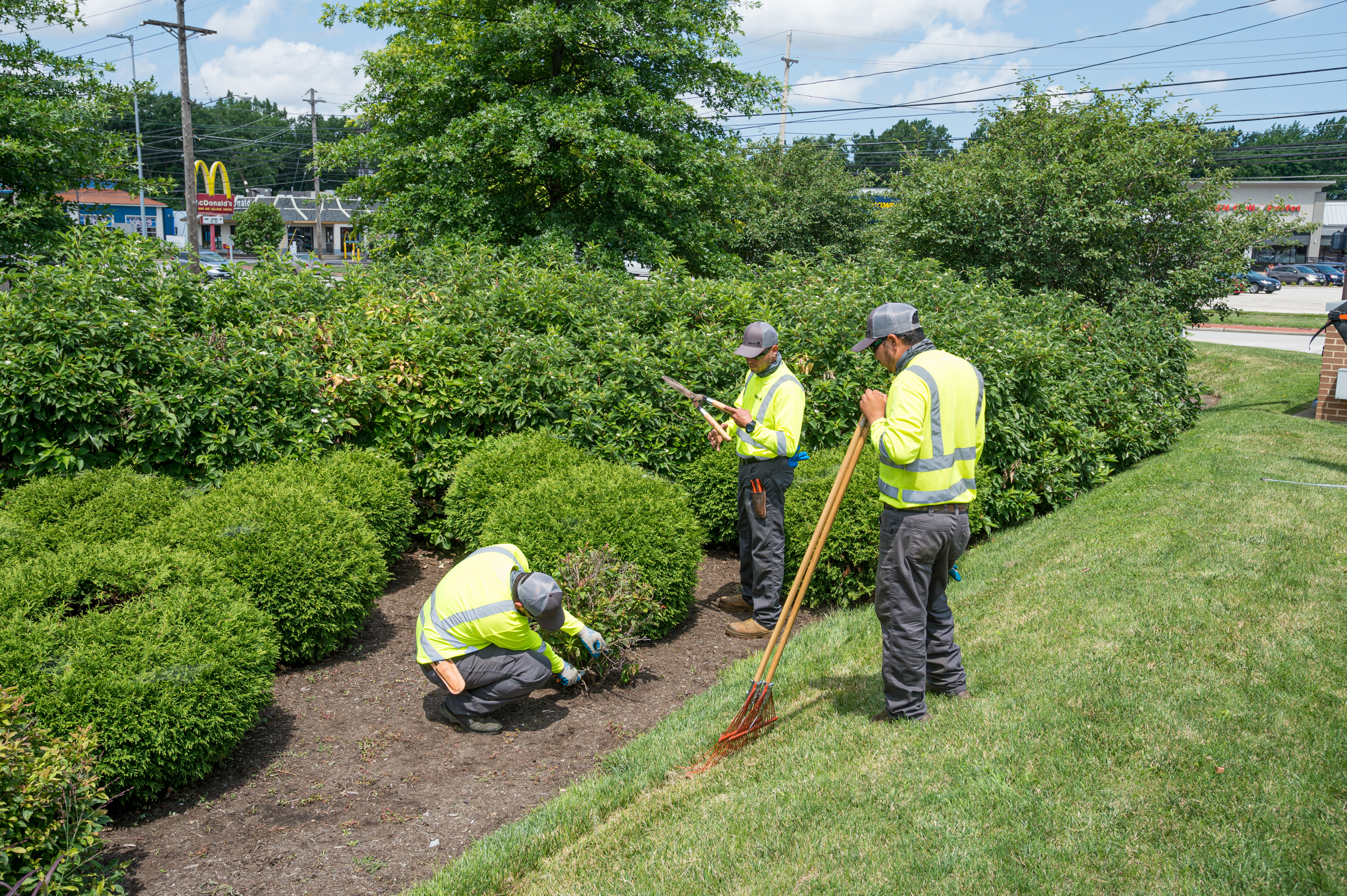 About Us | Davey Tree