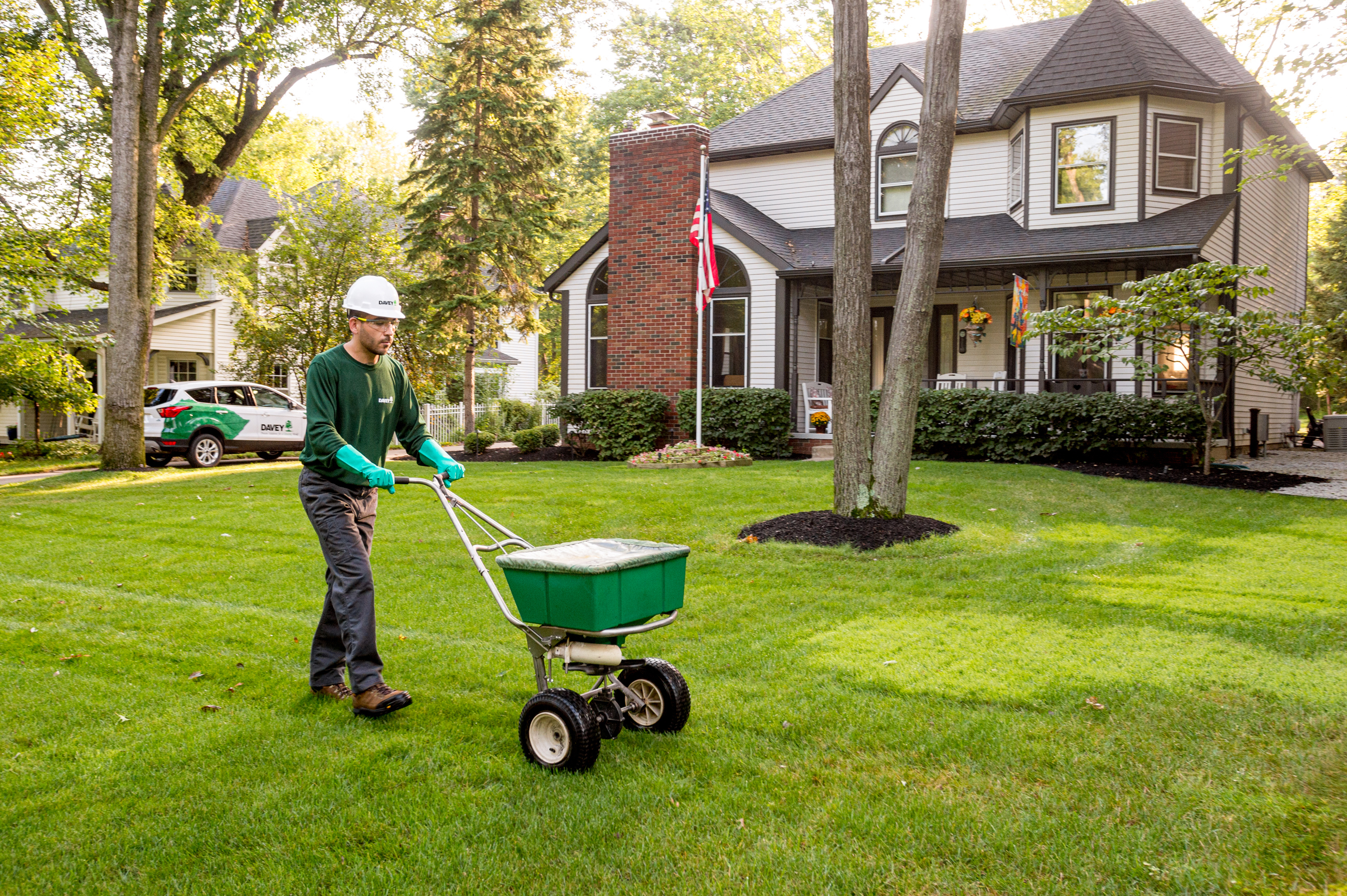 Tree and Shrub Fertilization Services | Davey Tree