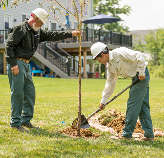 Residential Tree Planting & Transplanting Services | Davey Tree Residential Tree Planting & Transplanting Services | Davey Tree