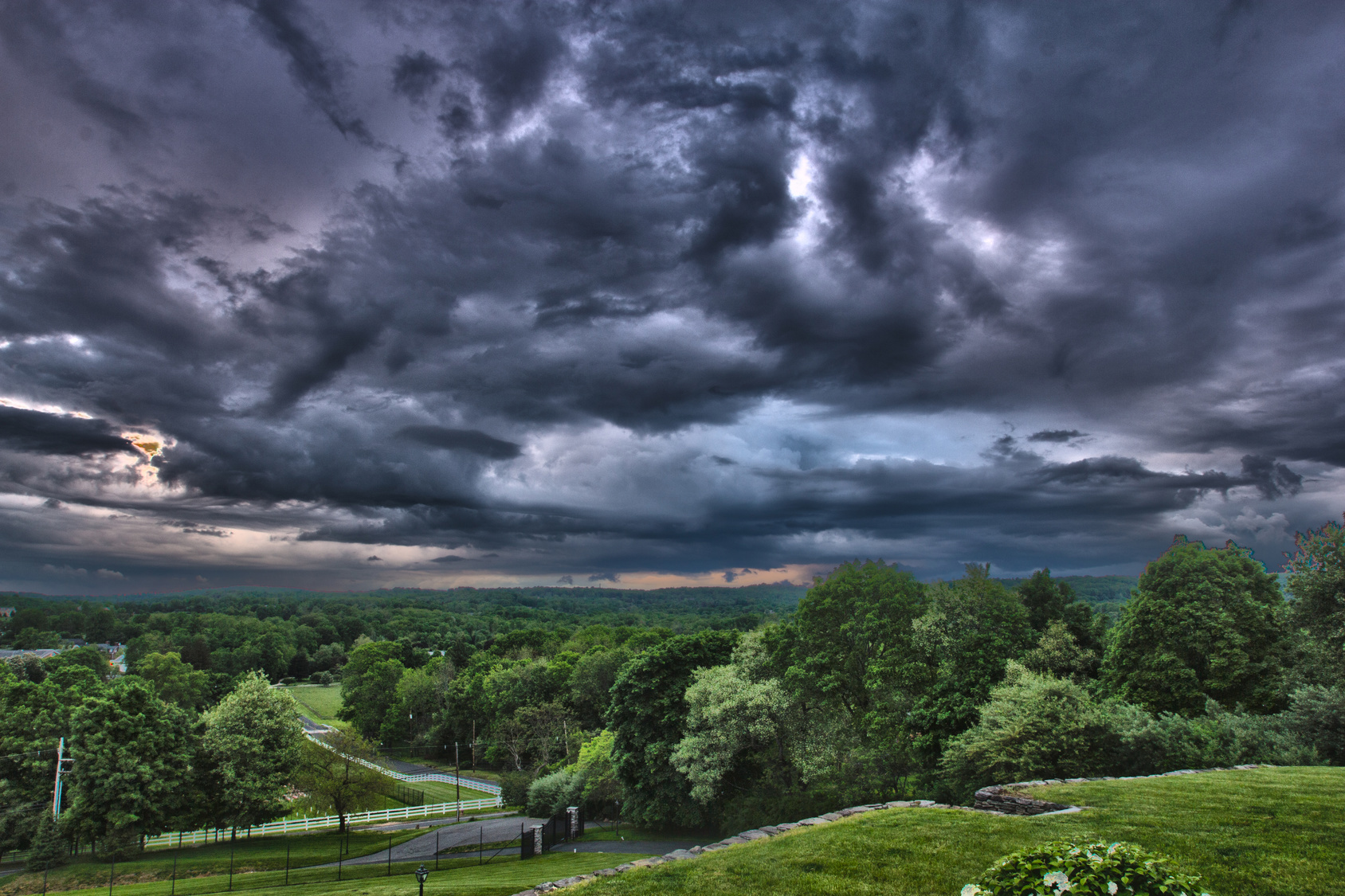 How summer storms and heat are impacting trees | Davey Tree
