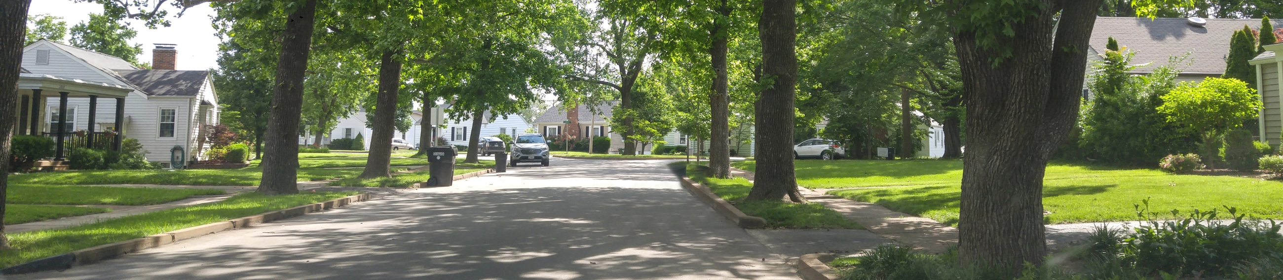 National Tree Benefit Calculator | Davey Tree