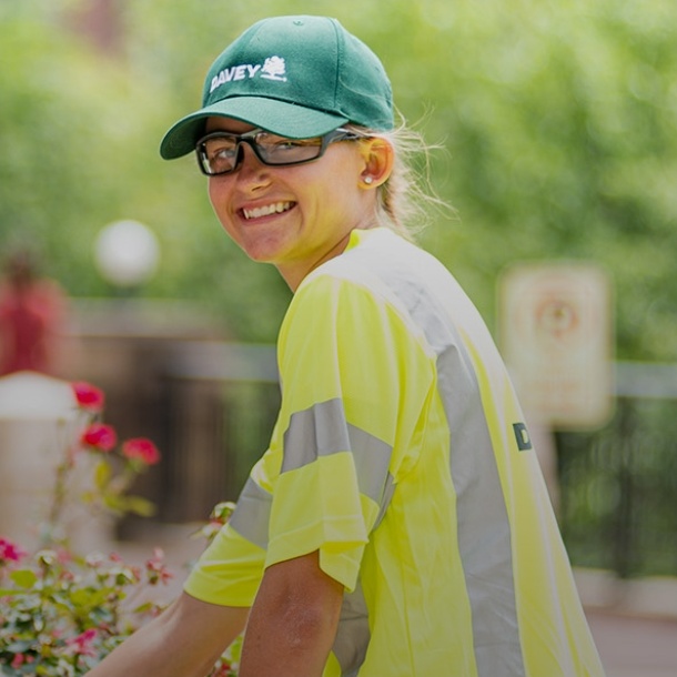 About Us | Davey Tree