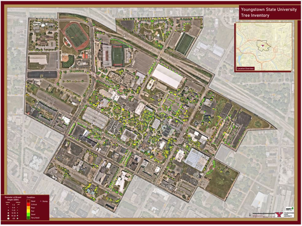Customized Mapping Technology | Davey Tree