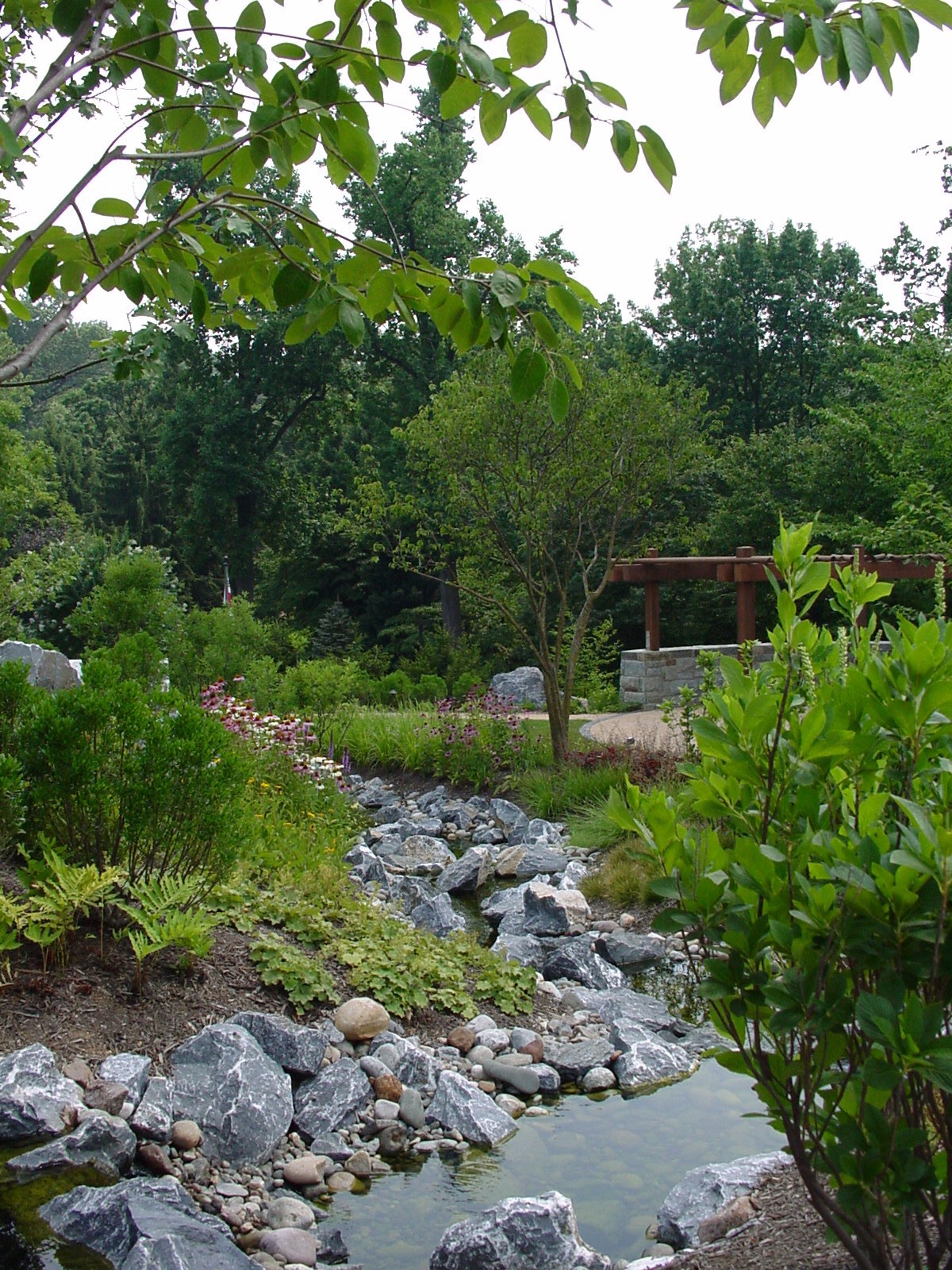 Wetland & Stream Services | Davey Resource Group | Davey Tree