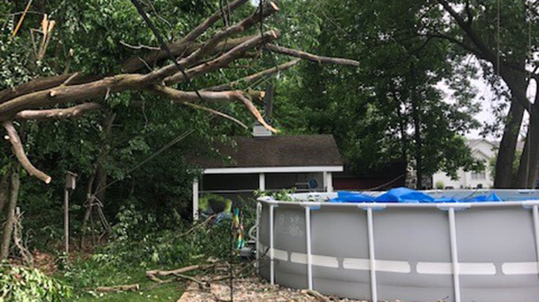 Safety Protocols & Communication Are Key In Risky Tree Removal Project ...