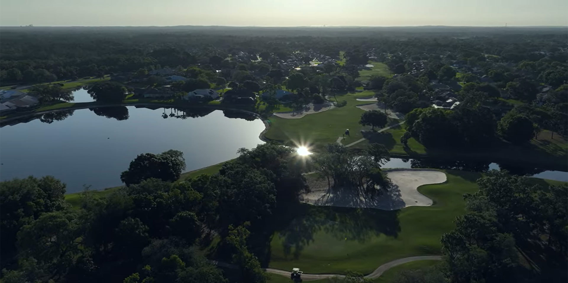 Professional Tree Services by Davey Certified Arborists | Davey Tree