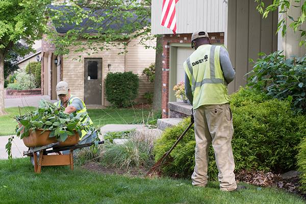 Professional Tree Services by Certified Arborists | Davey Tree