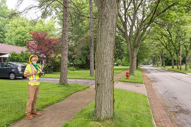 Urban Tree Canopy Assessment | Davey Resource Group | Davey Tree