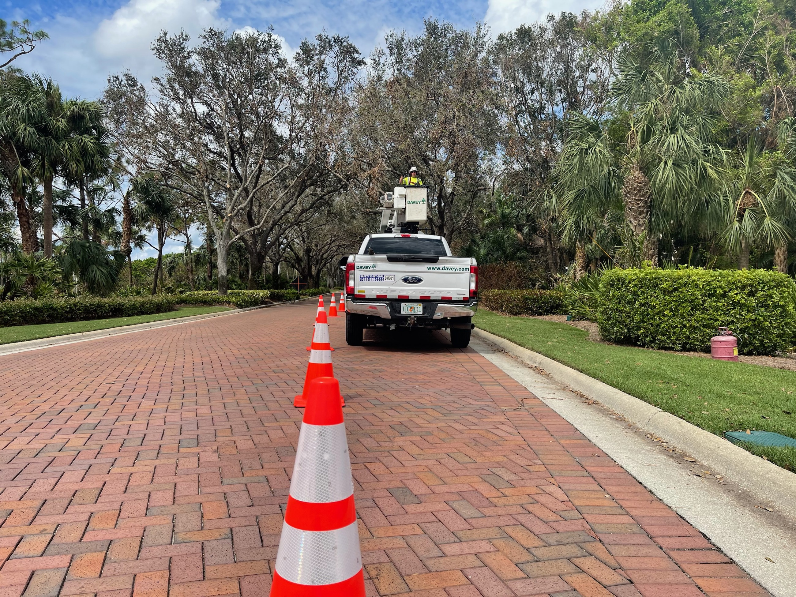 Safety First - Protecting People and Property | Davey Tree