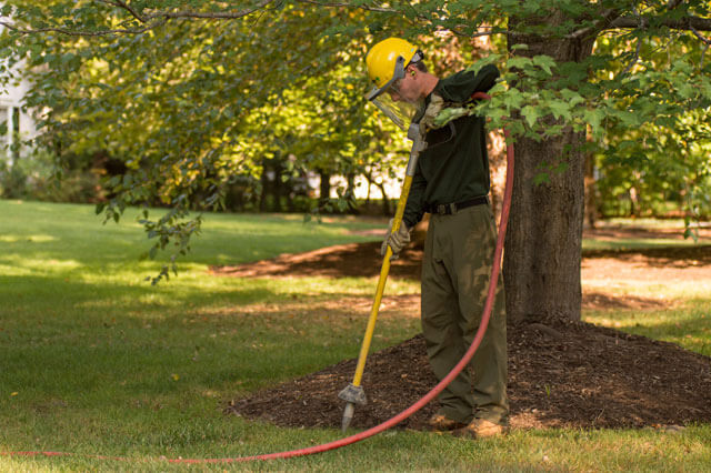 Soil Care for Trees and Treatment Services | Davey Tree