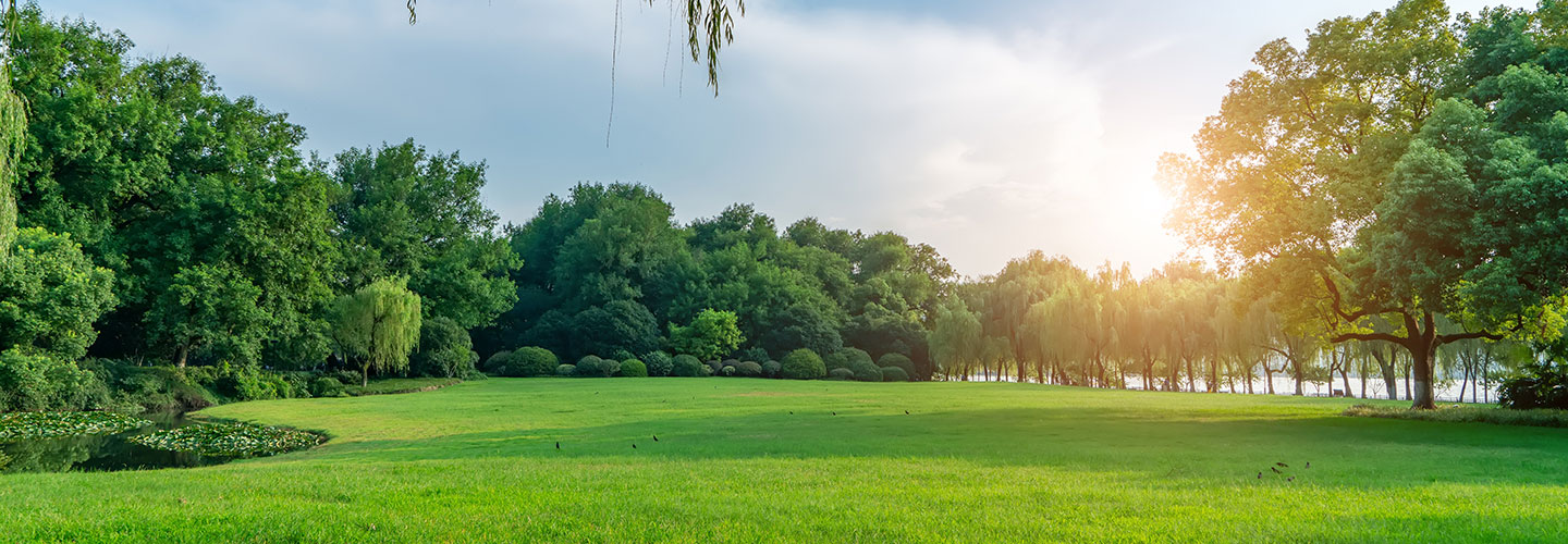 Urban Tree Canopy Assessment | Davey Resource Group | Davey Tree