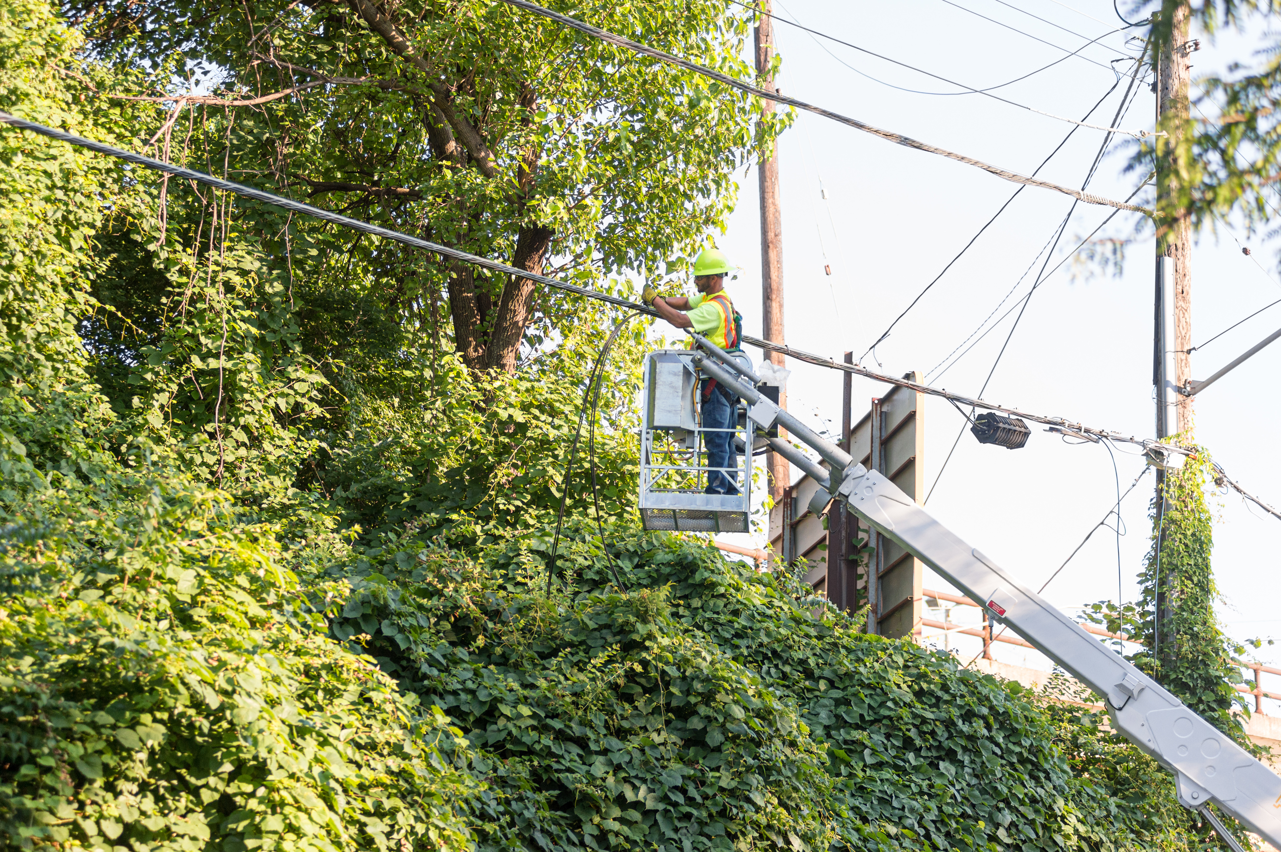 Communications Line Construction | Davey Tree