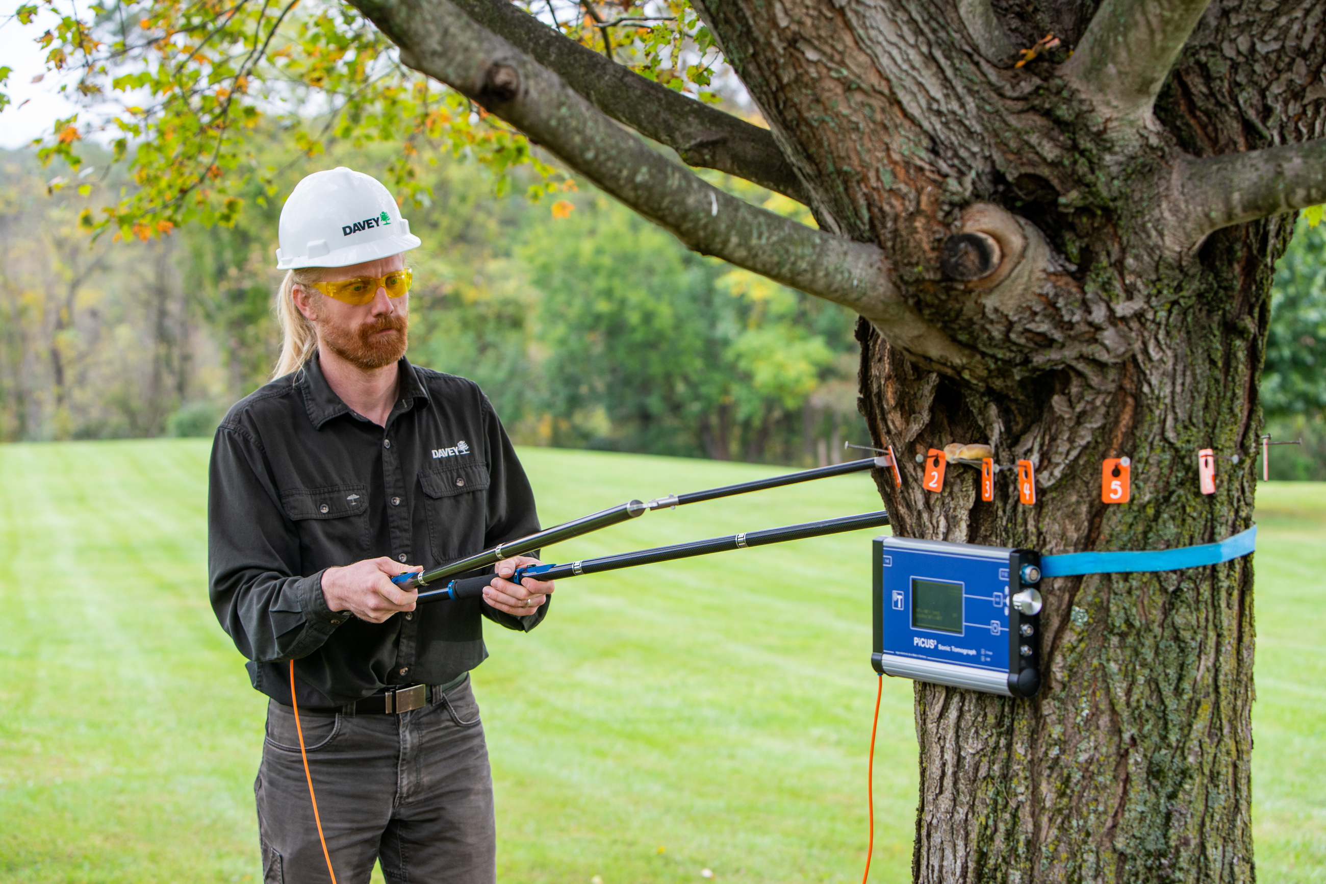 Technical Services Teams | Davey Tree