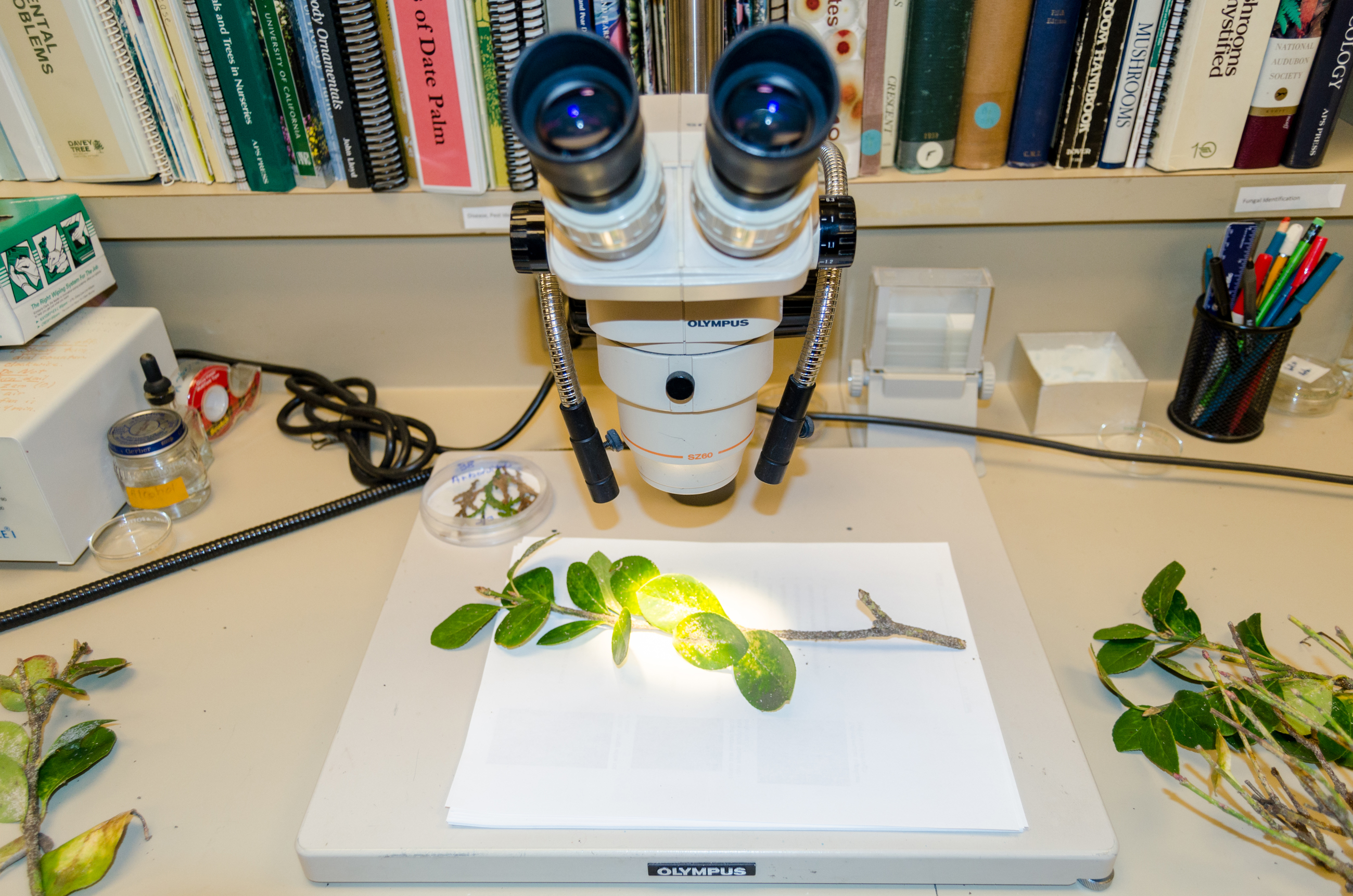 Research & Lab Facilities | Davey Tree