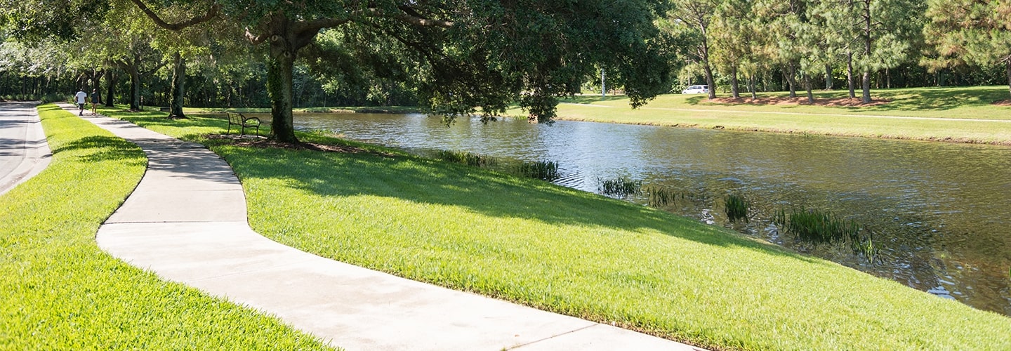 Tree Inventory Tool For Parks | TreeKeeper Tree Inventory | Davey Tree