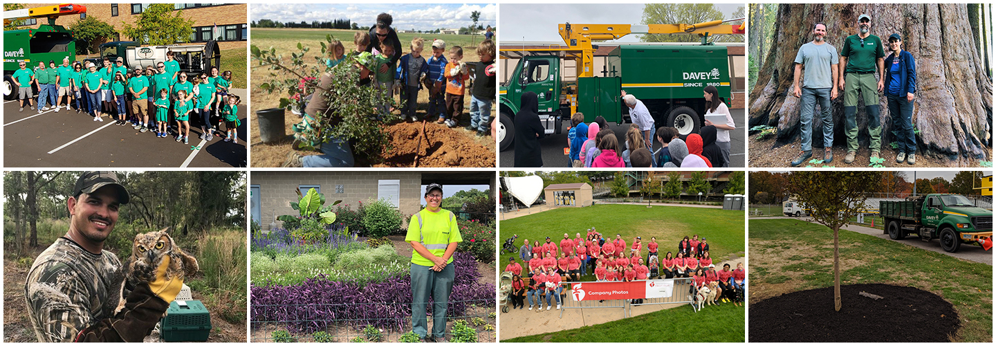 Community Engagement | Davey Tree