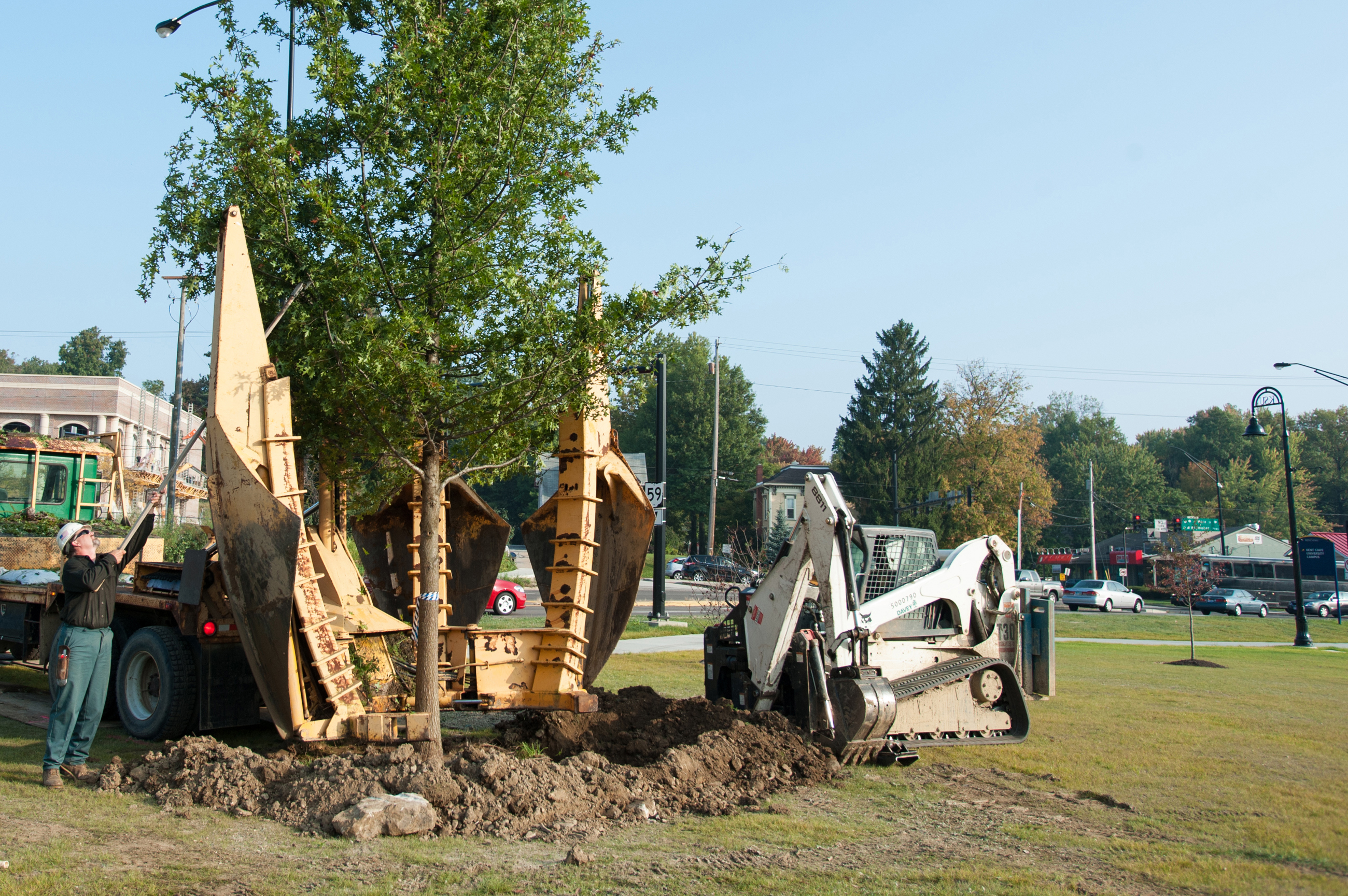 Large Tree Transplanting