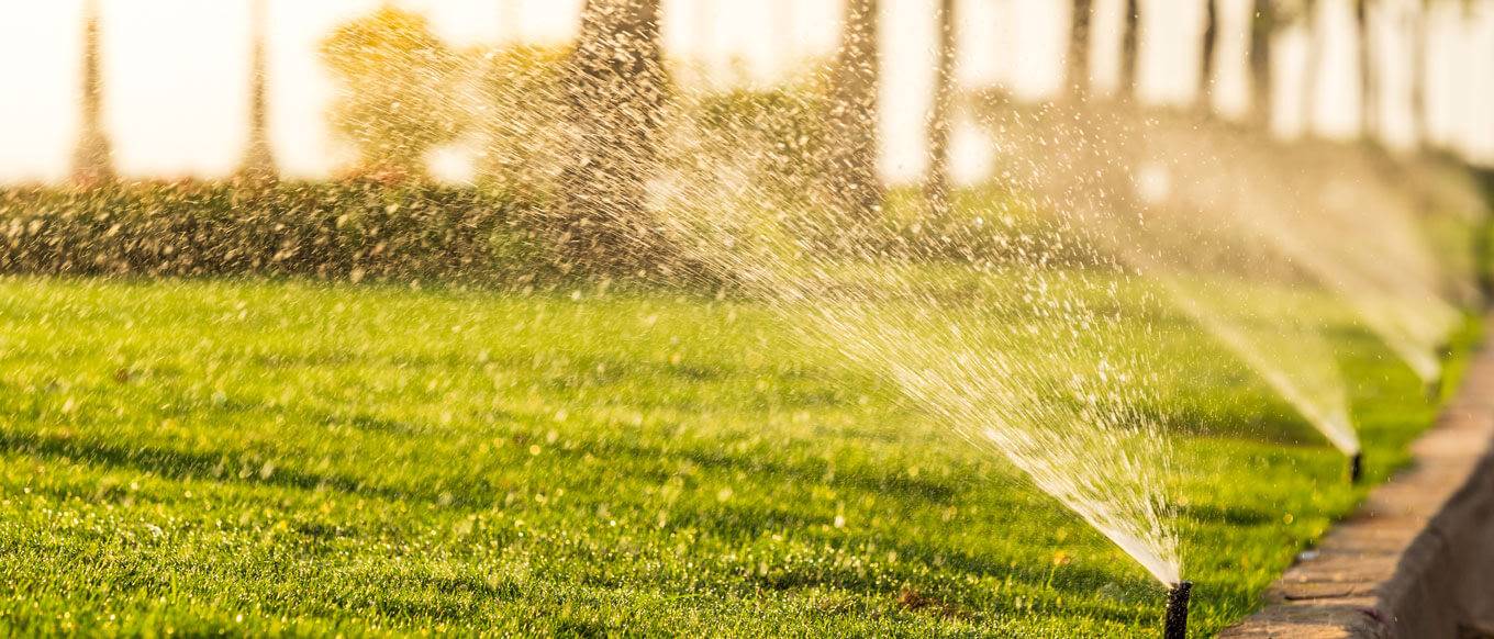 Tree Inventory Software for Urban Forestry | TreeKeeper® | Davey Tree