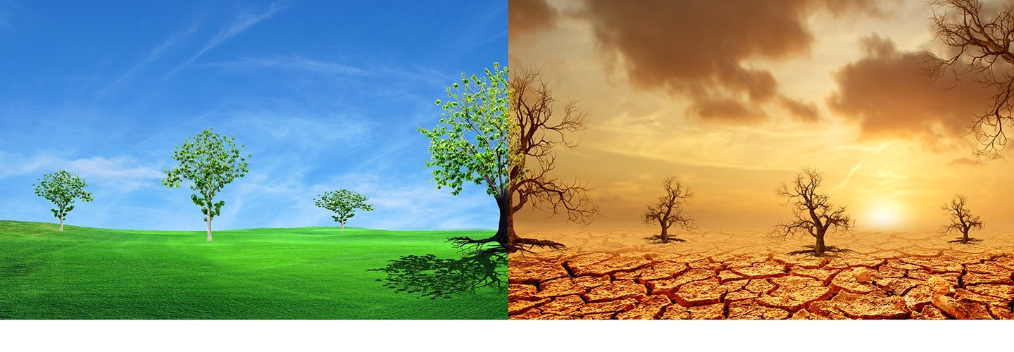 Addressing Climate Change Projections & Facts | Davey Tree