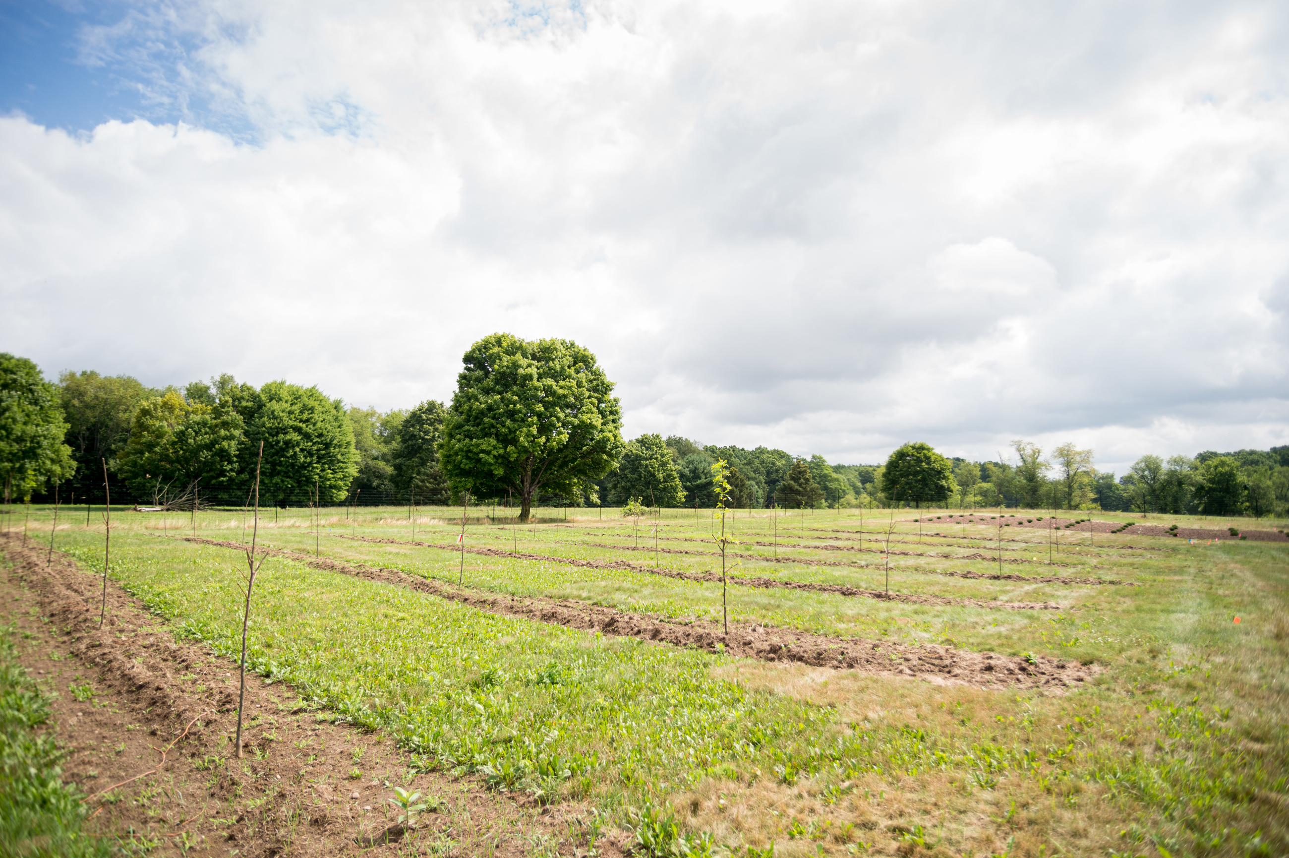 About The SEED Campus | Davey Tree