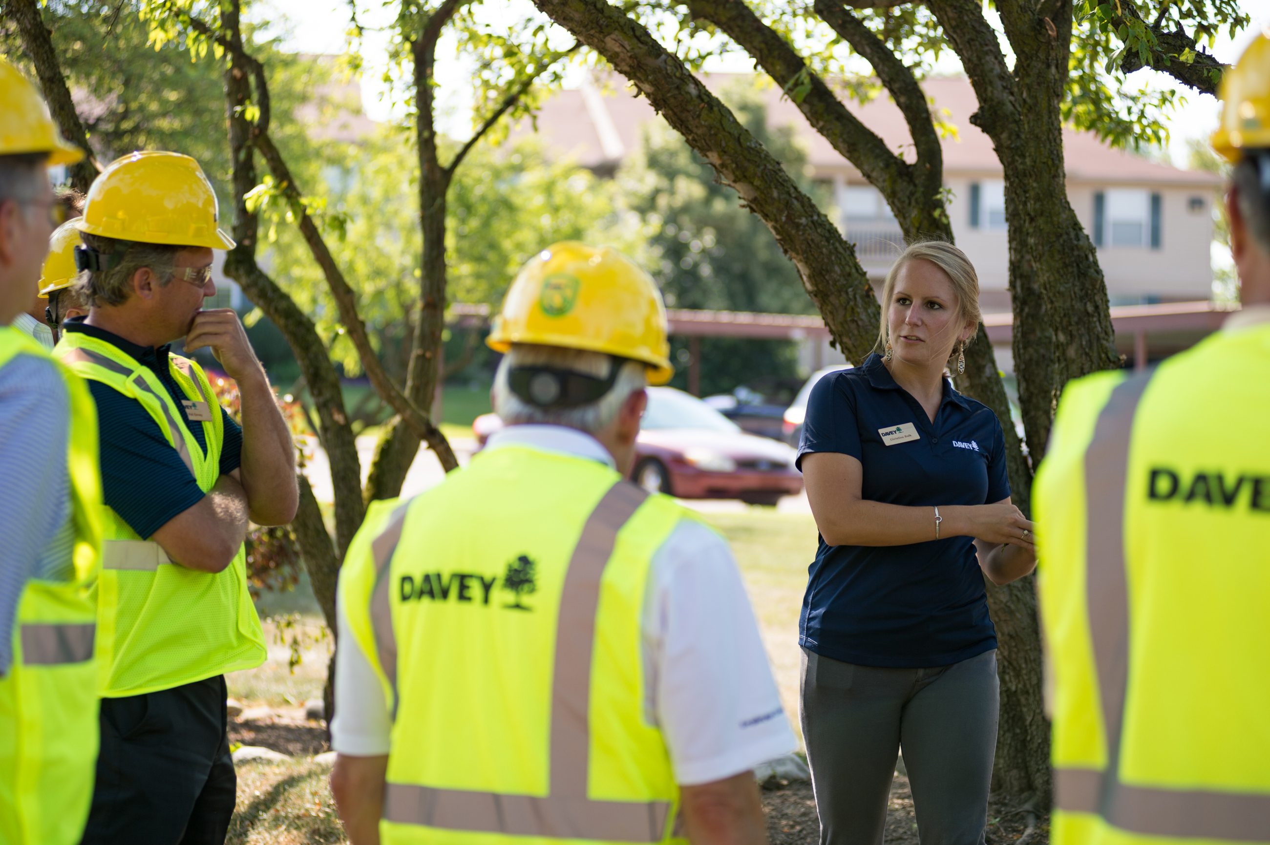 Technical Services Teams | Davey Tree